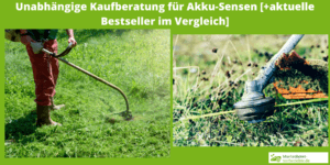 Faszinierend Akku Sense Test Ebenbildnull